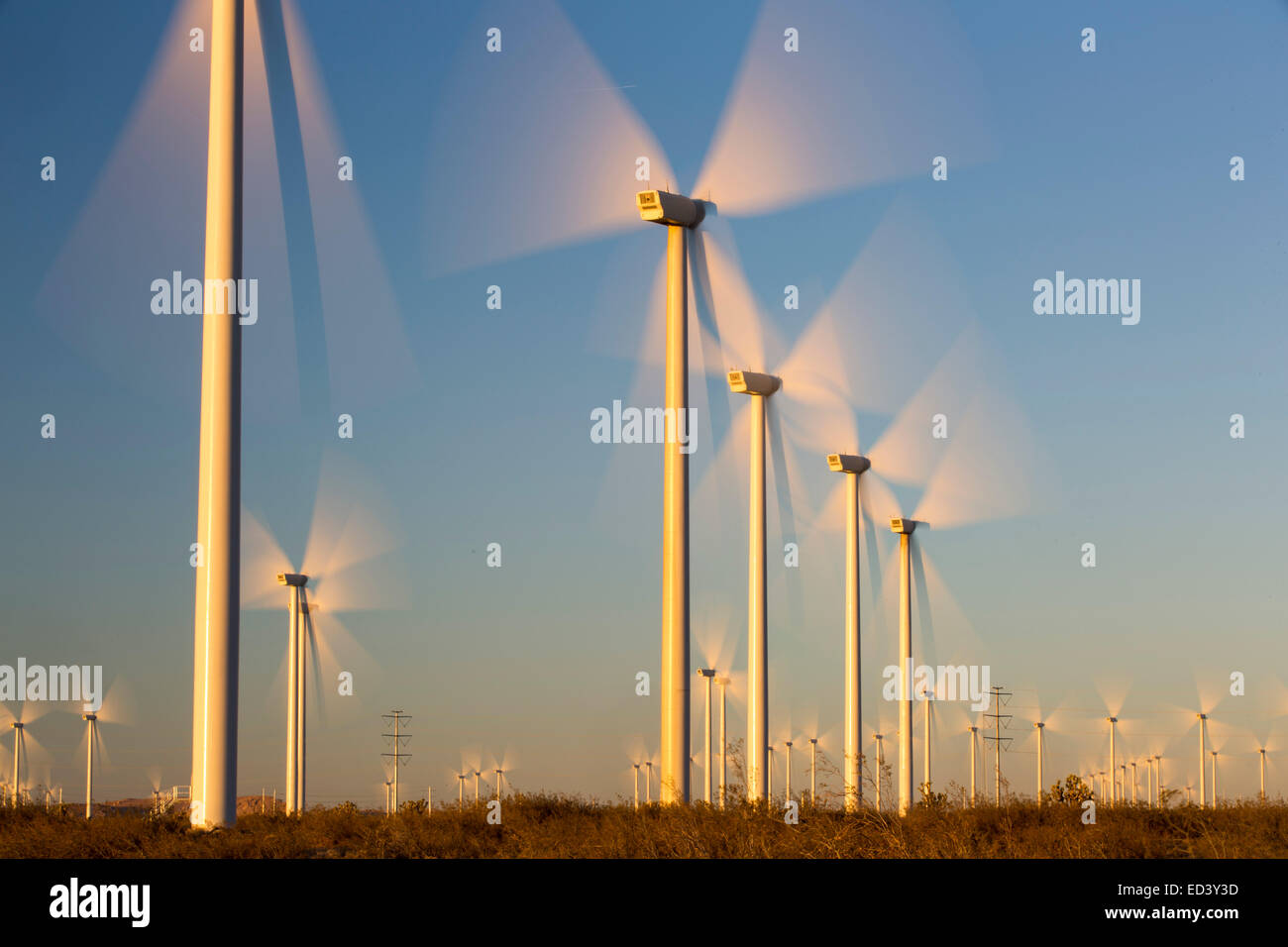 Tehachapi Pass wind farm at dawn, California, USA Stock Photo - Alamy
