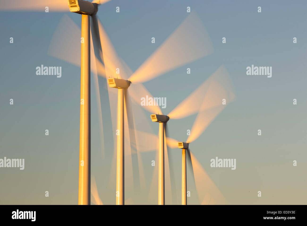 Tehachapi Pass wind farm at dawn, California, USA Stock Photo - Alamy