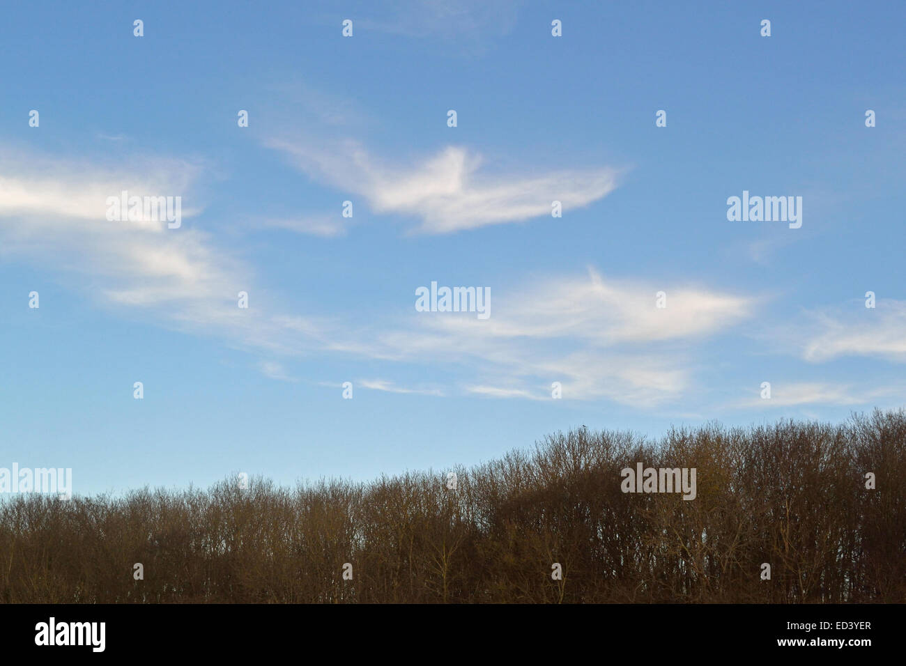 Dove shaped cloud hi-res stock photography and images - Alamy