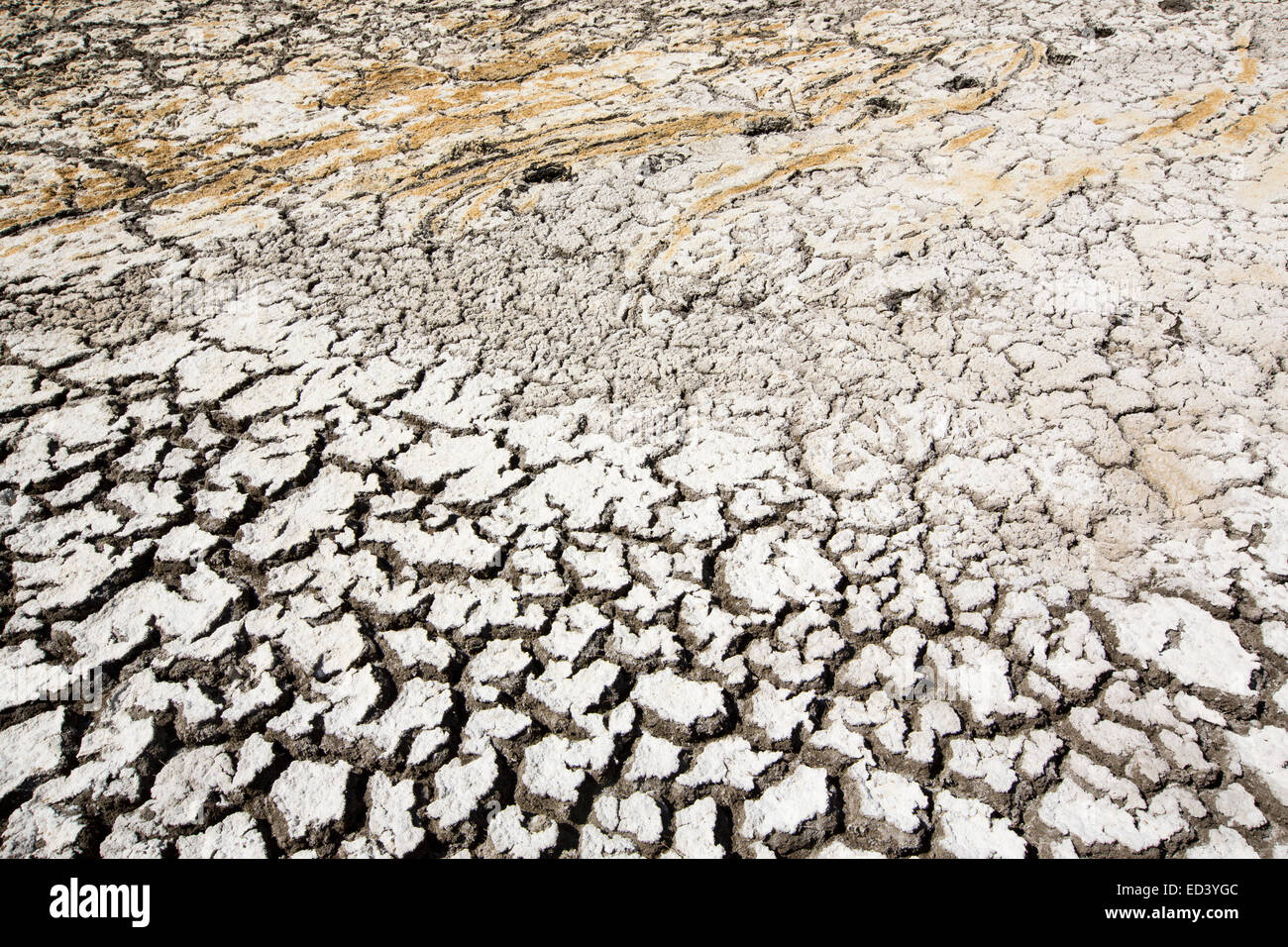 Blue Green Algae on a dried up lake bed in Tehachapi, caused by the ...