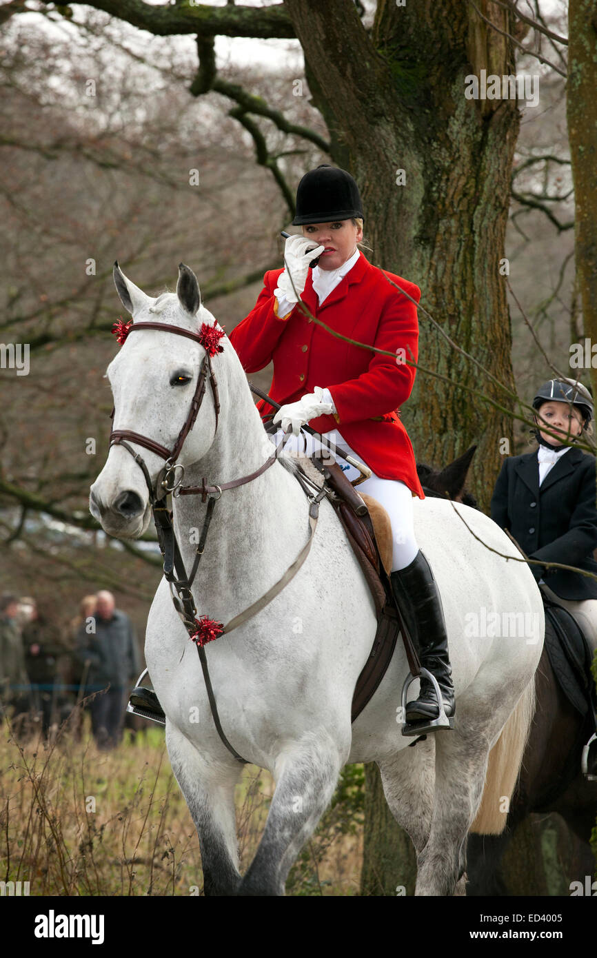 Master of fox hunt hi-res stock photography and images - Alamy