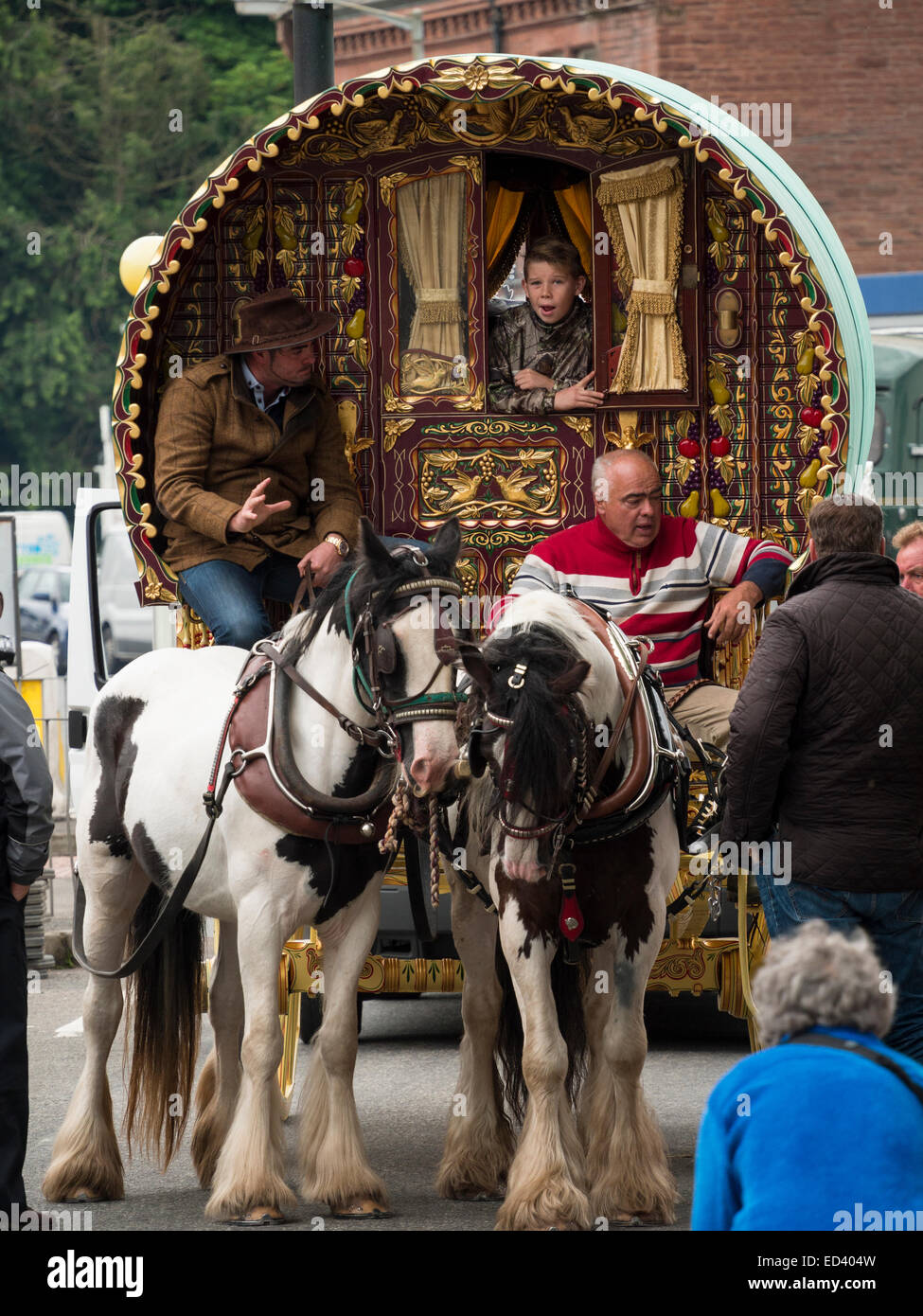 Horse pulling gypsy caravan hi-res stock photography and images - Alamy