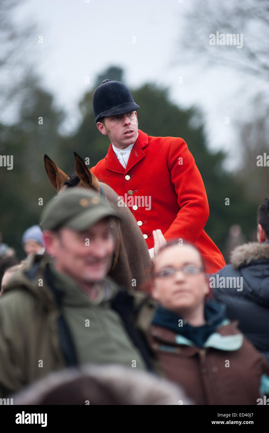 Crowd horse hi-res stock photography and images - Alamy