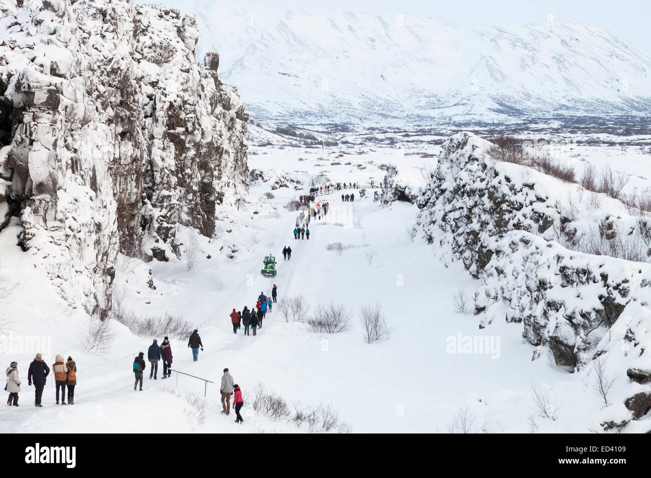 The continental rift at Þingvellir National Park in Iceland. The rift ...