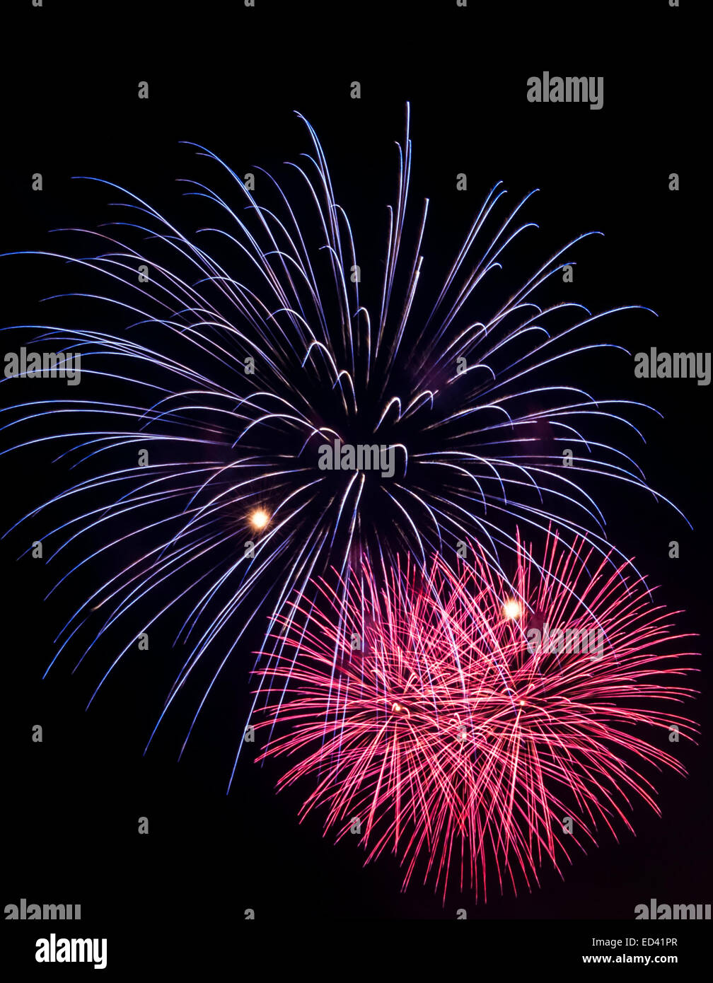 Colorful firework of New year festival at midnight Stock Photo - Alamy
