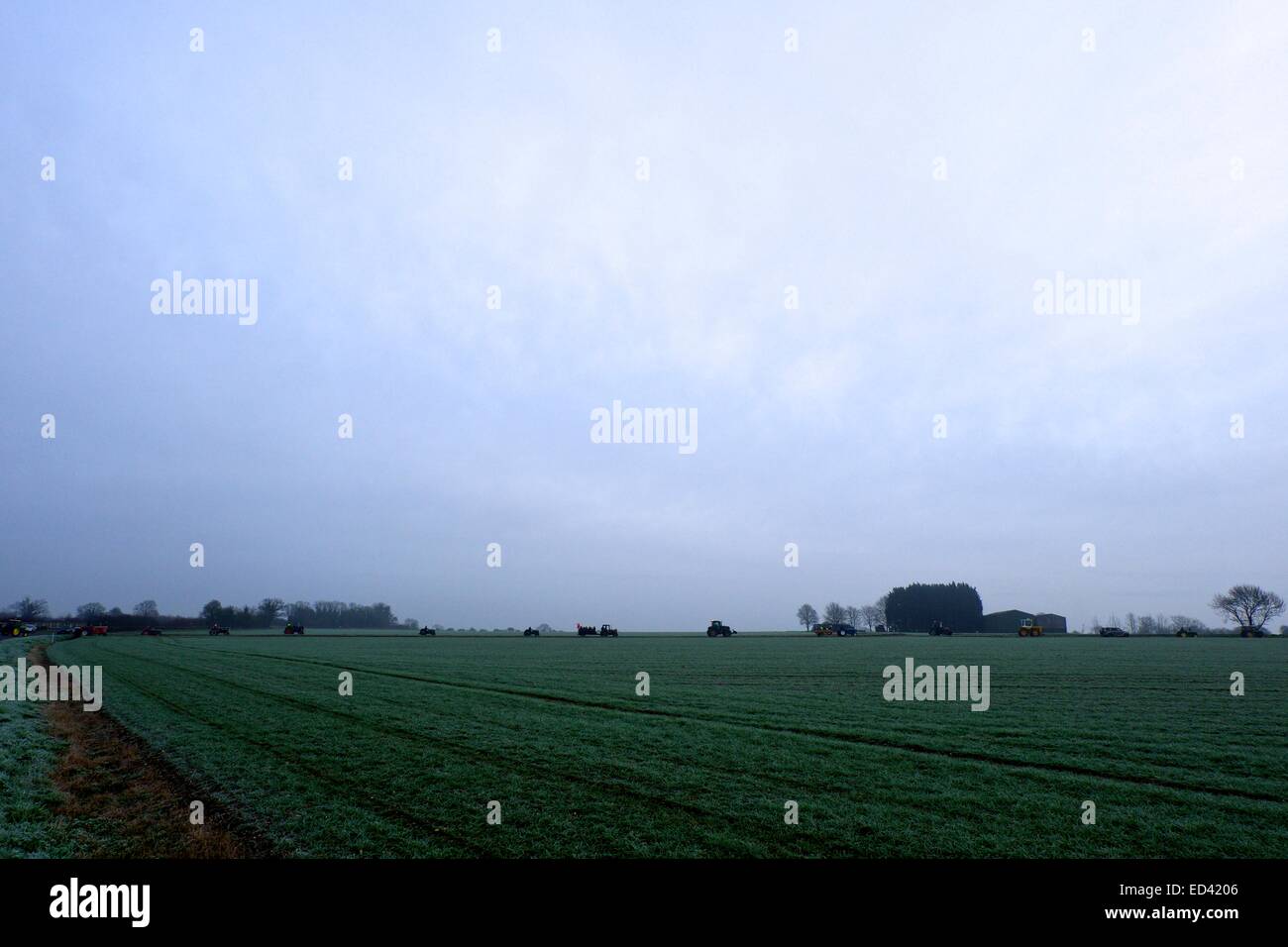 Larling hi-res stock photography and images - Alamy