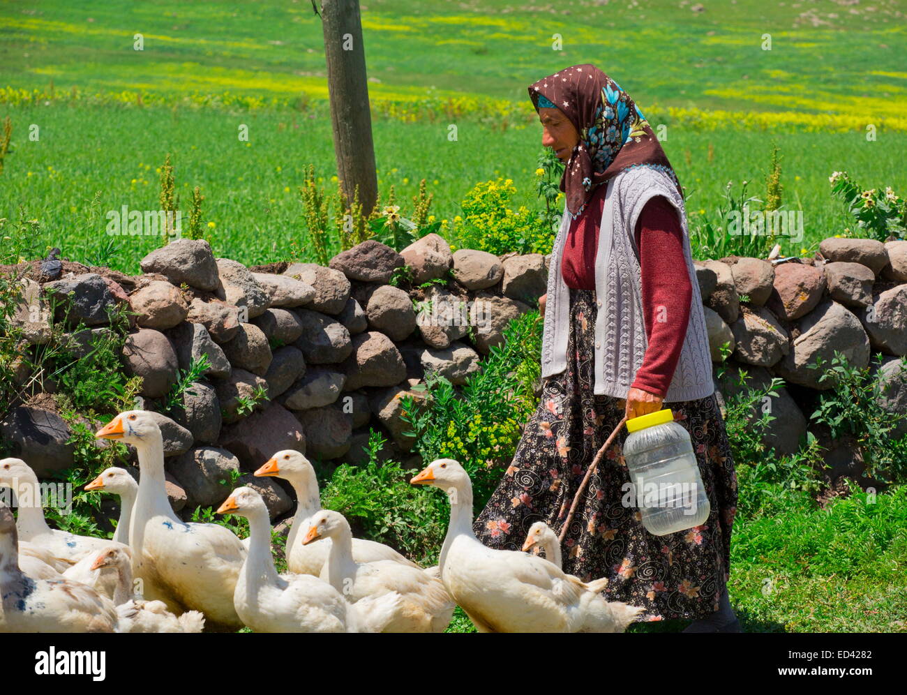 Village ladies hi-res stock photography and images - Alamy