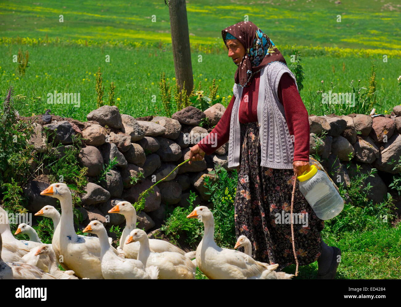 Village ladies hi-res stock photography and images - Alamy