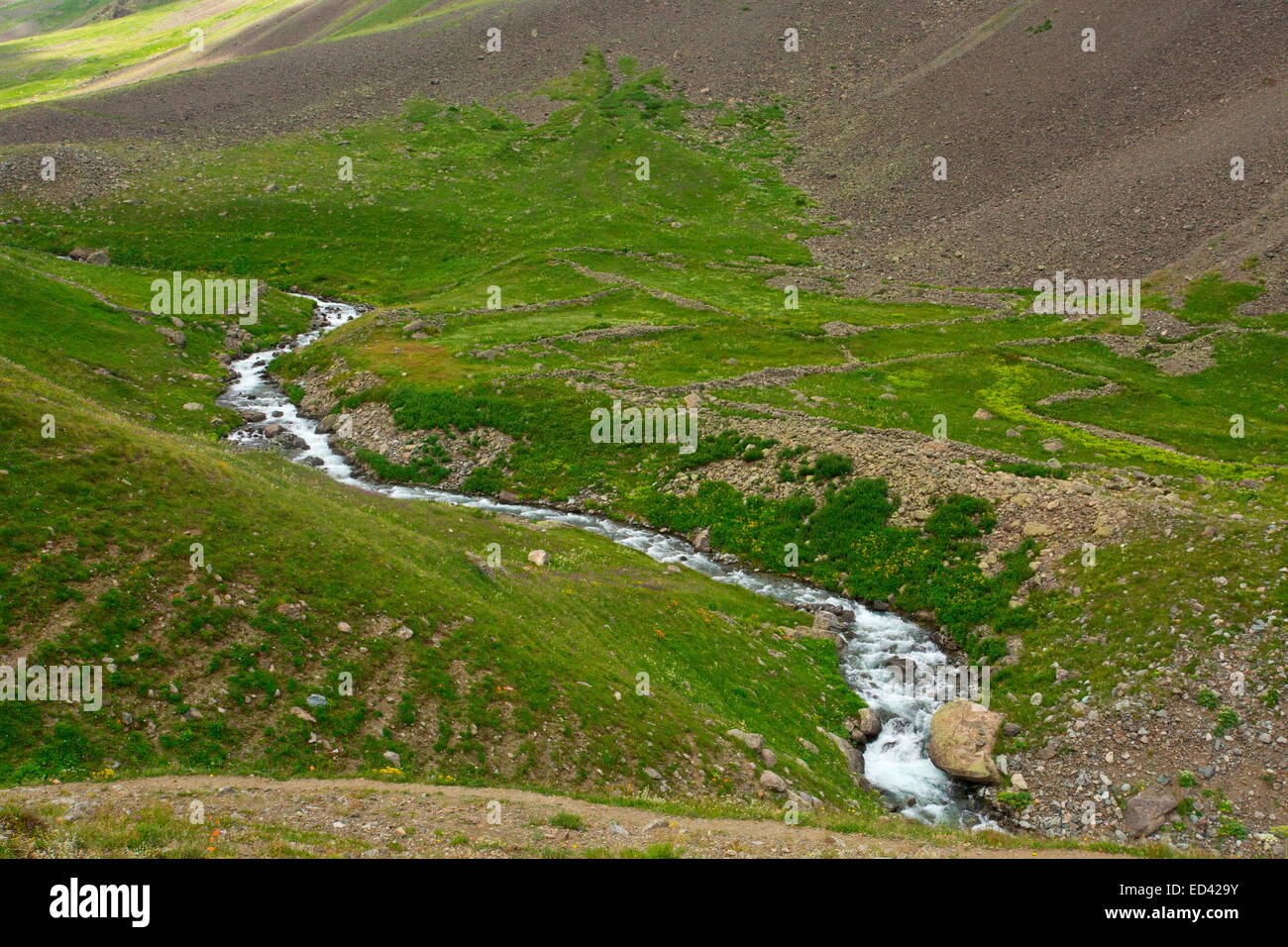 High in the glacial Olgunlar valley, Kaskar, Pontic Alps, north-east ...