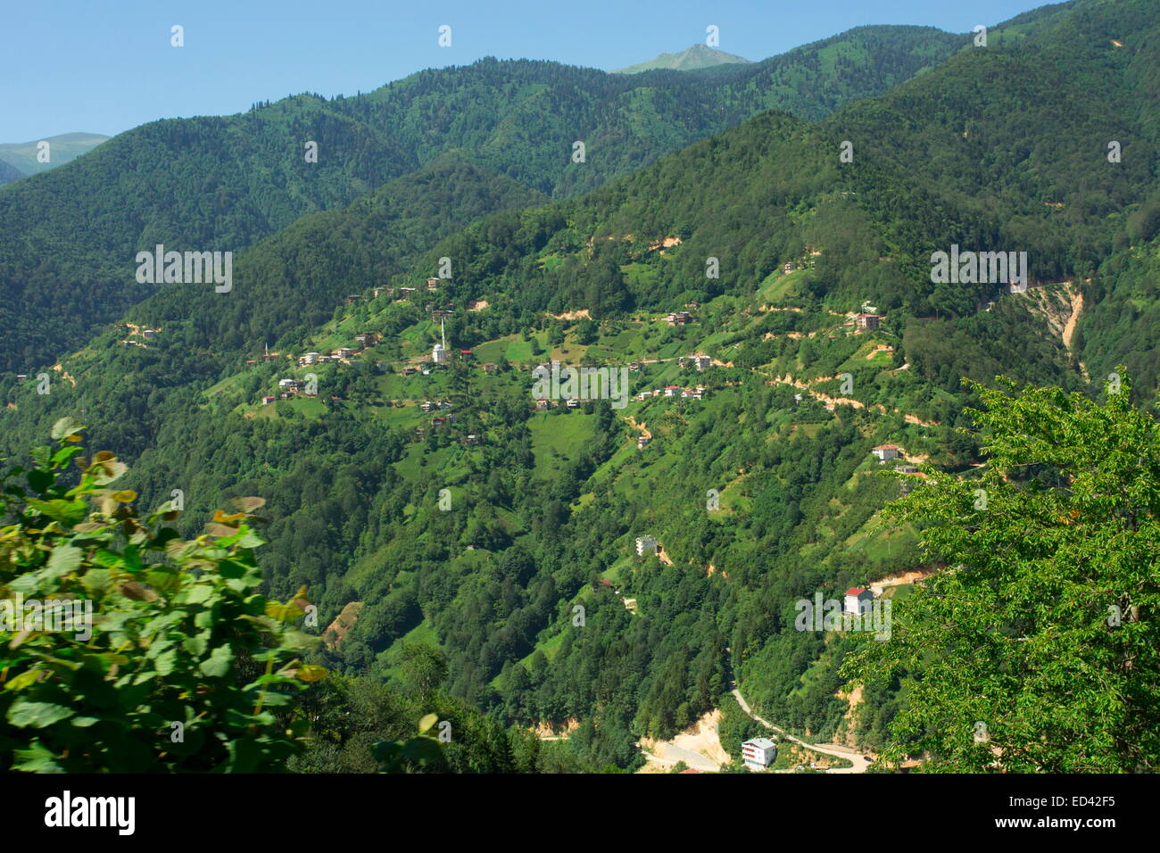 Pattern of settlement and farming, including tea gardens, on the north ...