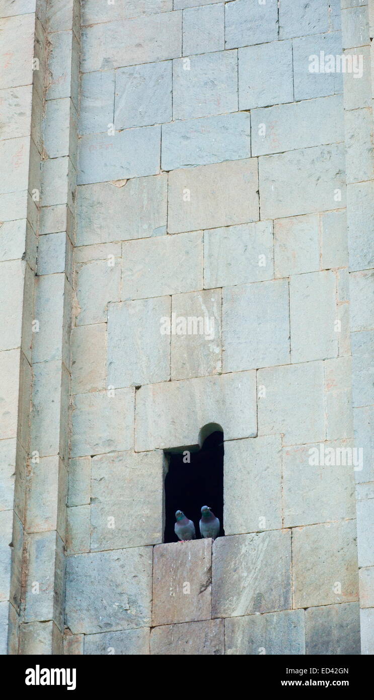 Pigeons on the church, Barhal, Turkey Stock Photo - Alamy