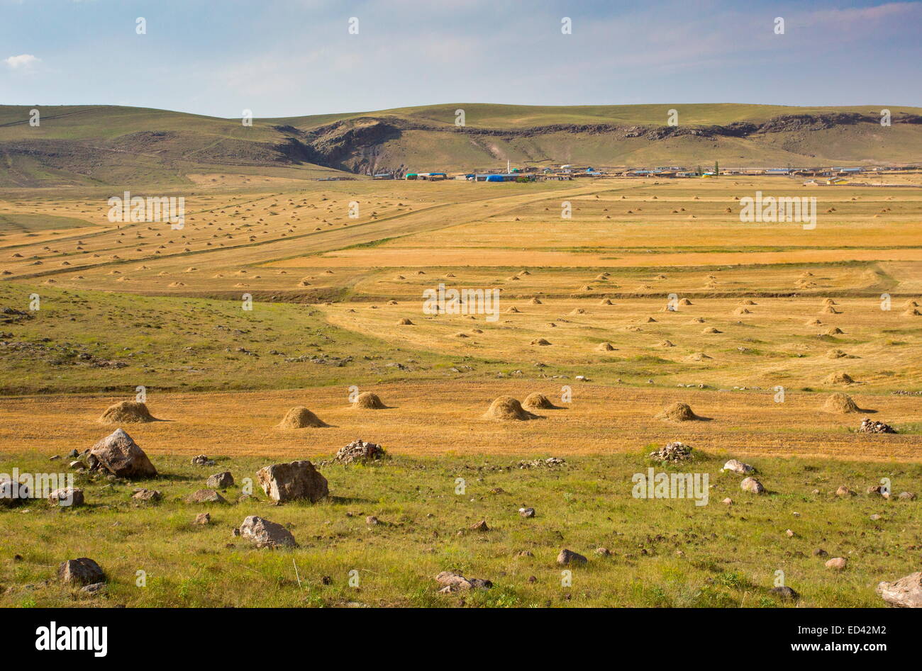 Pastoral farming hi-res stock photography and images - Alamy