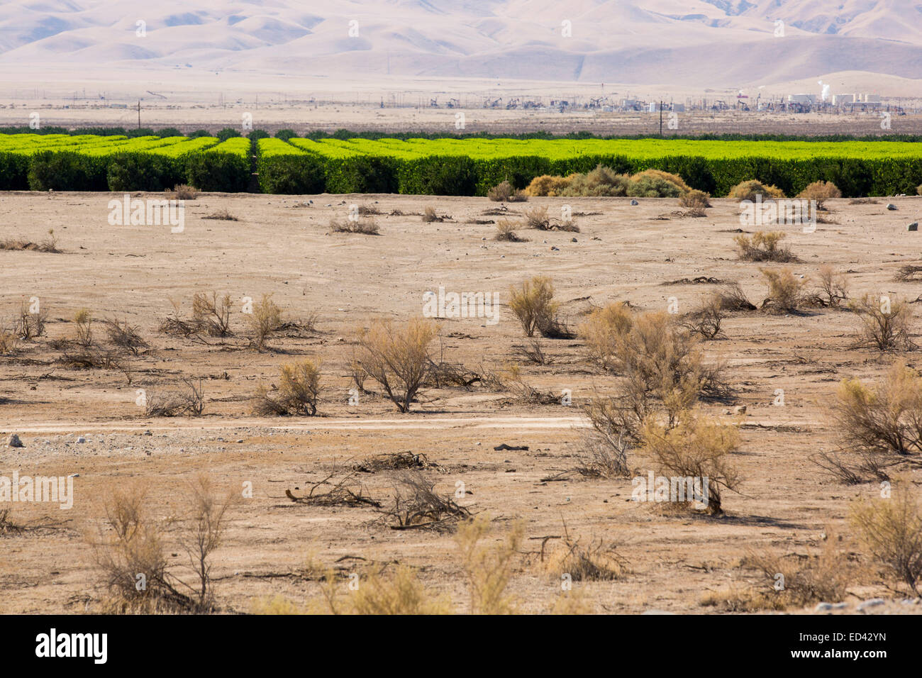 Soil irrigation hi-res stock photography and images - Alamy