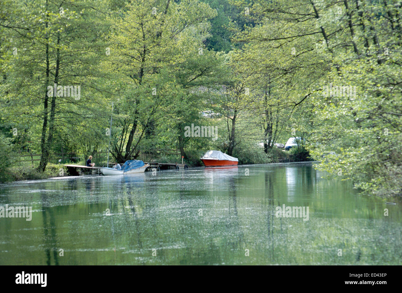 River among trees hi-res stock photography and images - Alamy