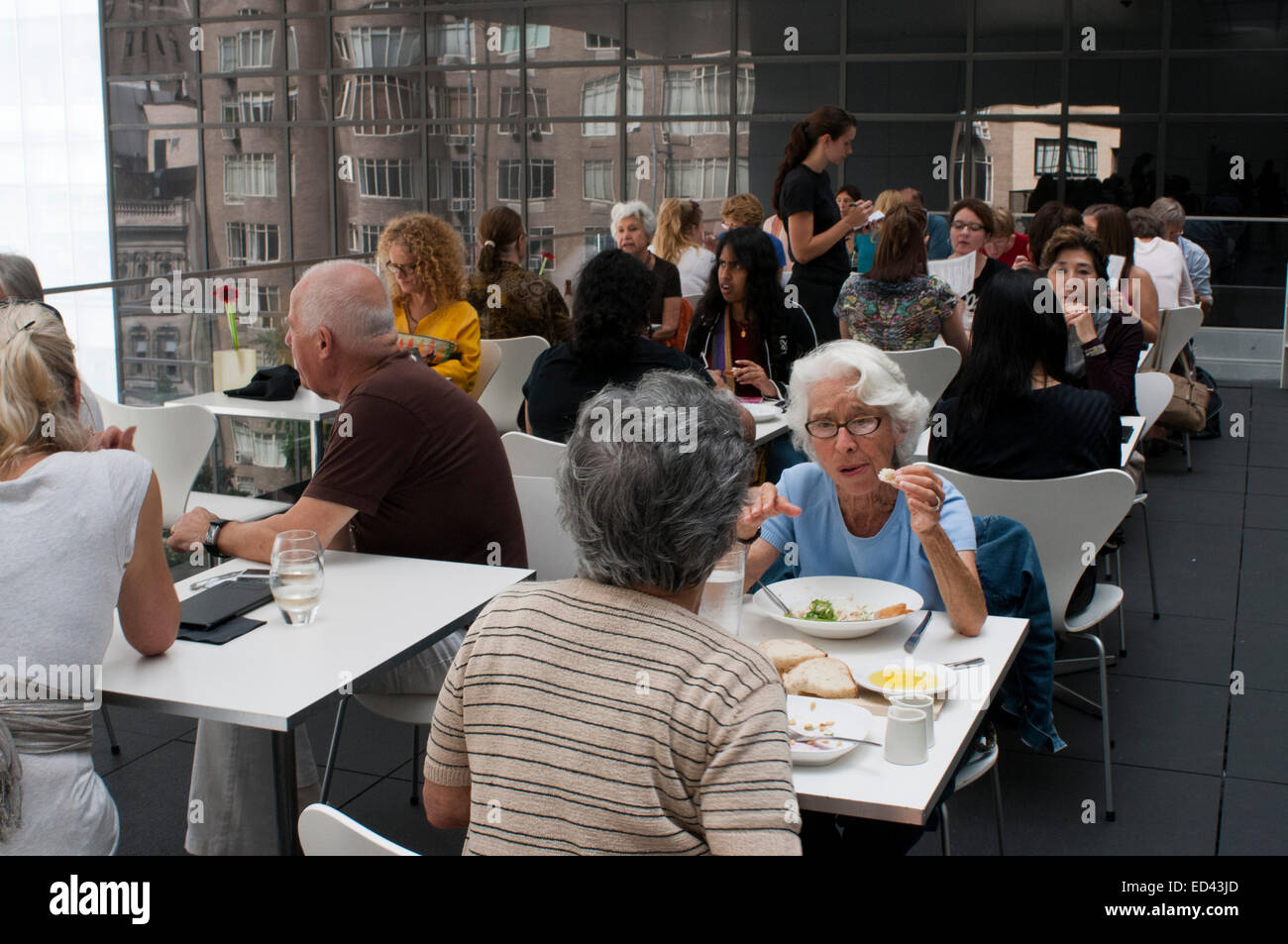 Moma cafes and restaurant. Manhattan. New York City. NYC. Located in ...