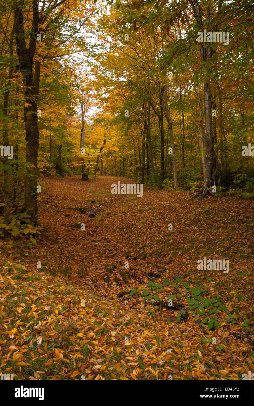 Mont sutton hi-res stock photography and images - Alamy