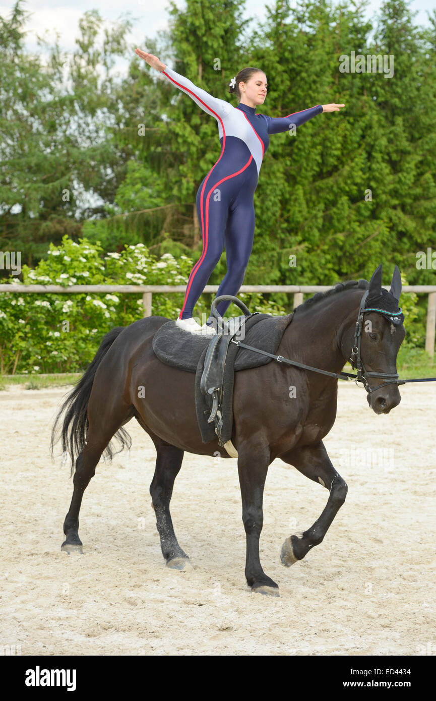 Vaulting compulsory exercise standing on horseback Stock Photo - Alamy