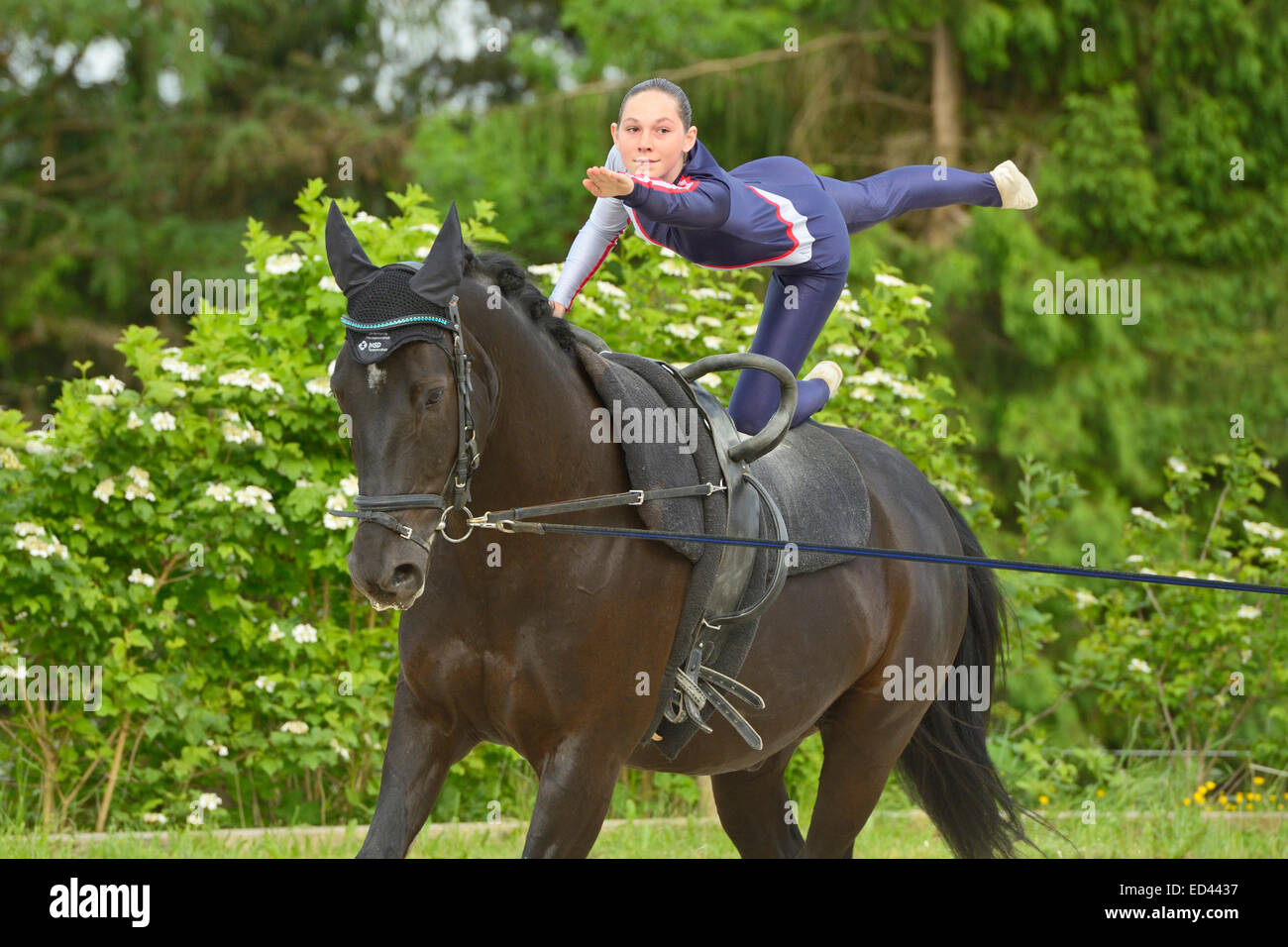 Vaulting compulsory exercise Flag Stock Photo - Alamy