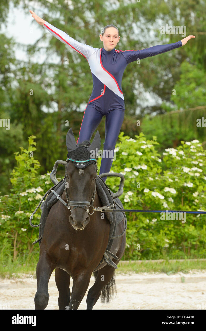 Vaulting compulsory exercise standing on horseback Stock Photo - Alamy