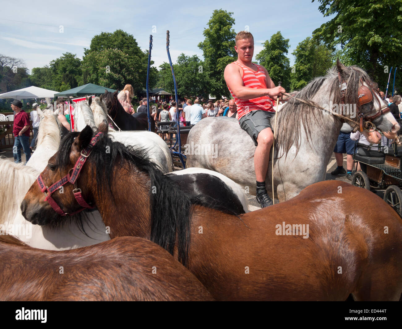 Gypsies,Romanys,'travellers', at Appleby Horse Fair, held every June in ...