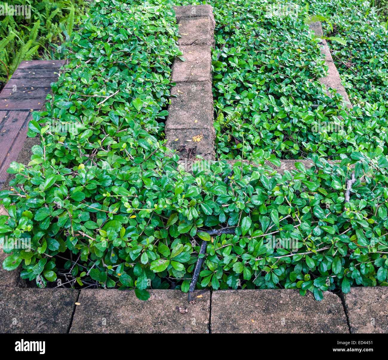 Rock bench with the dwarf in the urban park Stock Photo - Alamy