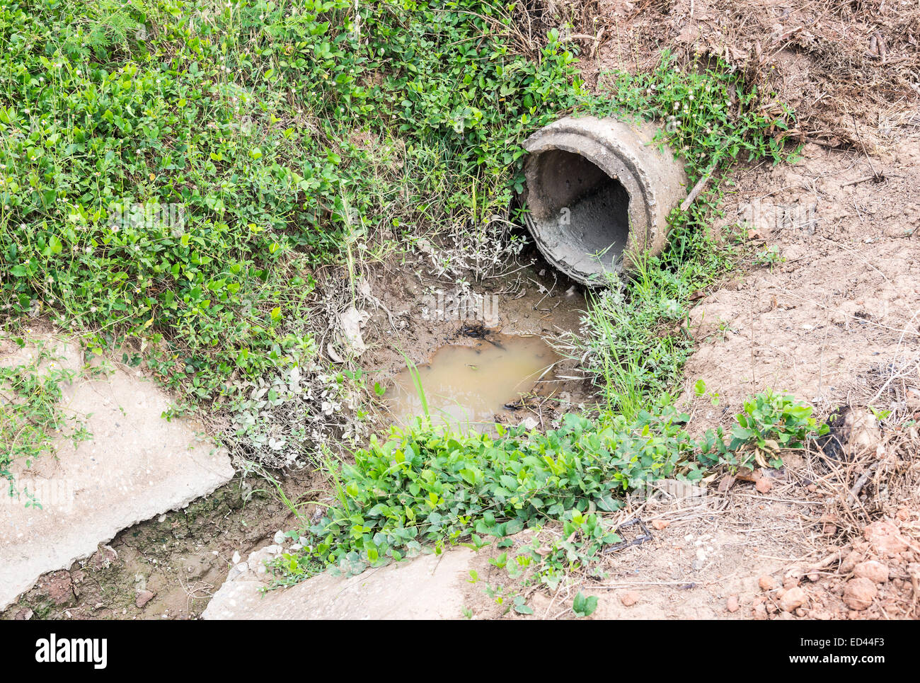 Farm pipeline for irrigation in the countryside of Thailand Stock Photo ...