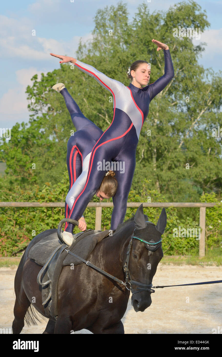 Vaulting equestrian team hi-res stock photography and images - Alamy