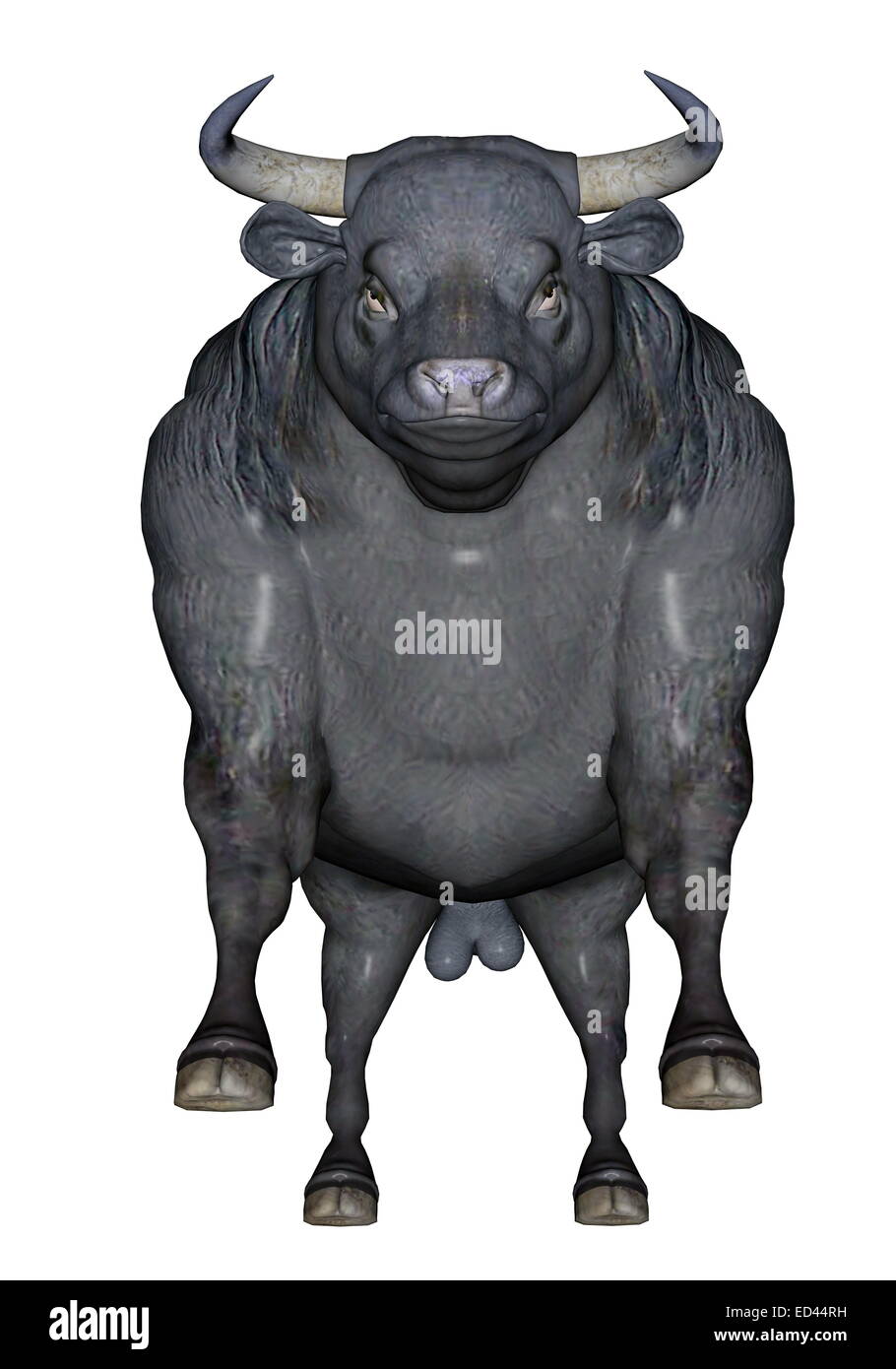 Agressive bull cattle Cut Out Stock Images & Pictures - Alamy