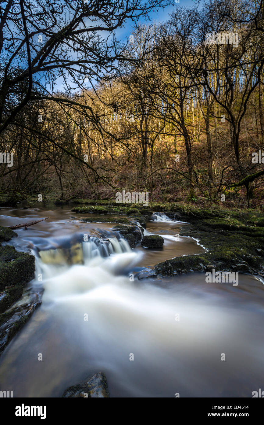River and cascades on the waterfalls walk, Pontneddfechan, Wales, UK ...
