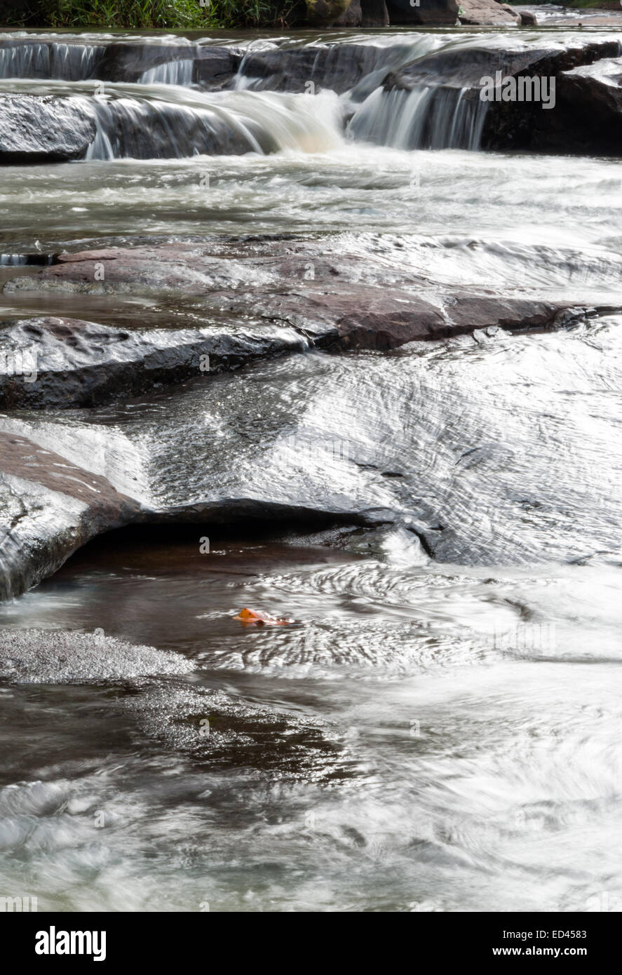 Little clean waterfall in wildlife sanctuaries Stock Photo - Alamy
