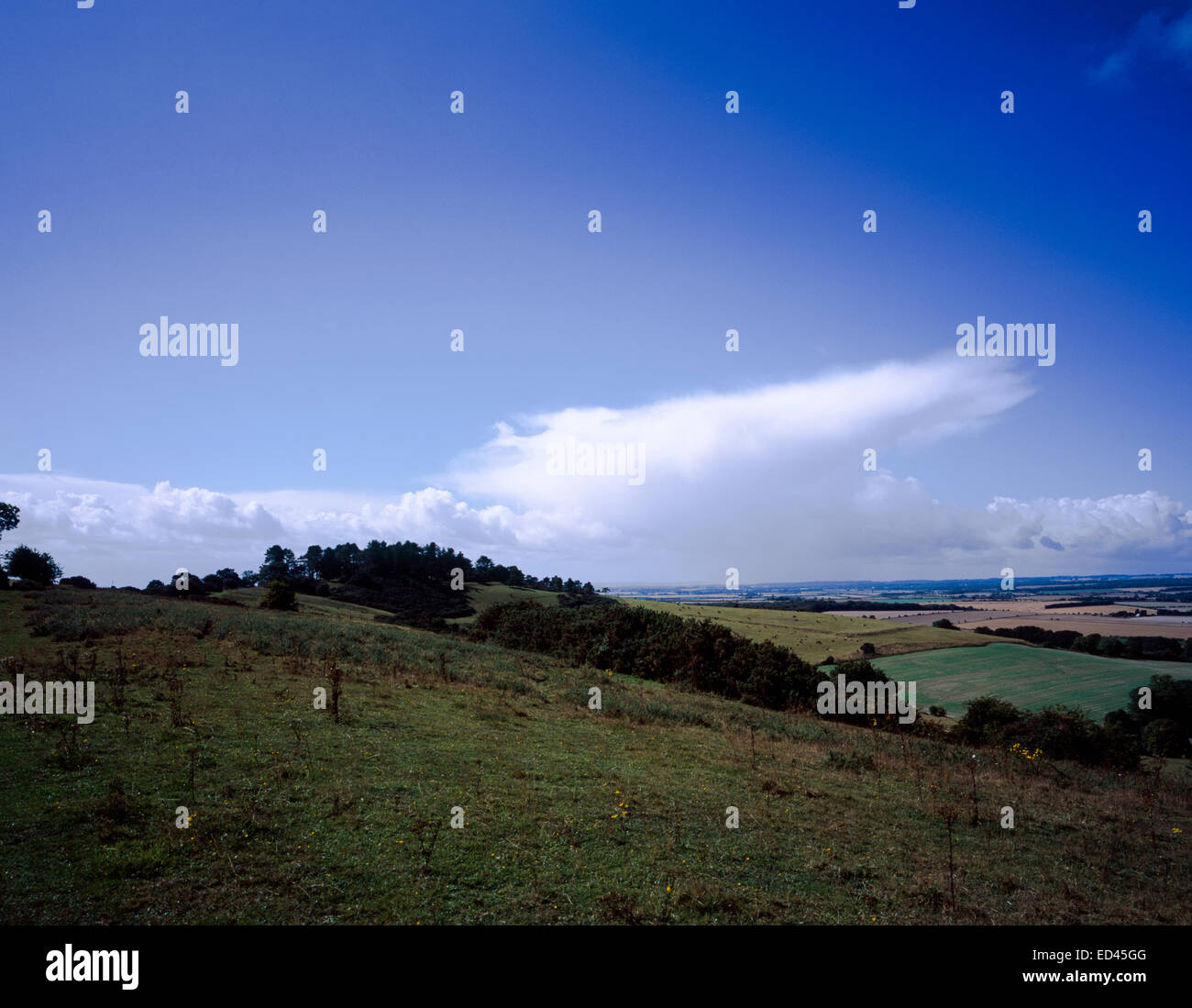 The ridge of Pentridge Hill looking toward Penbury Knott Hill Fort The ...