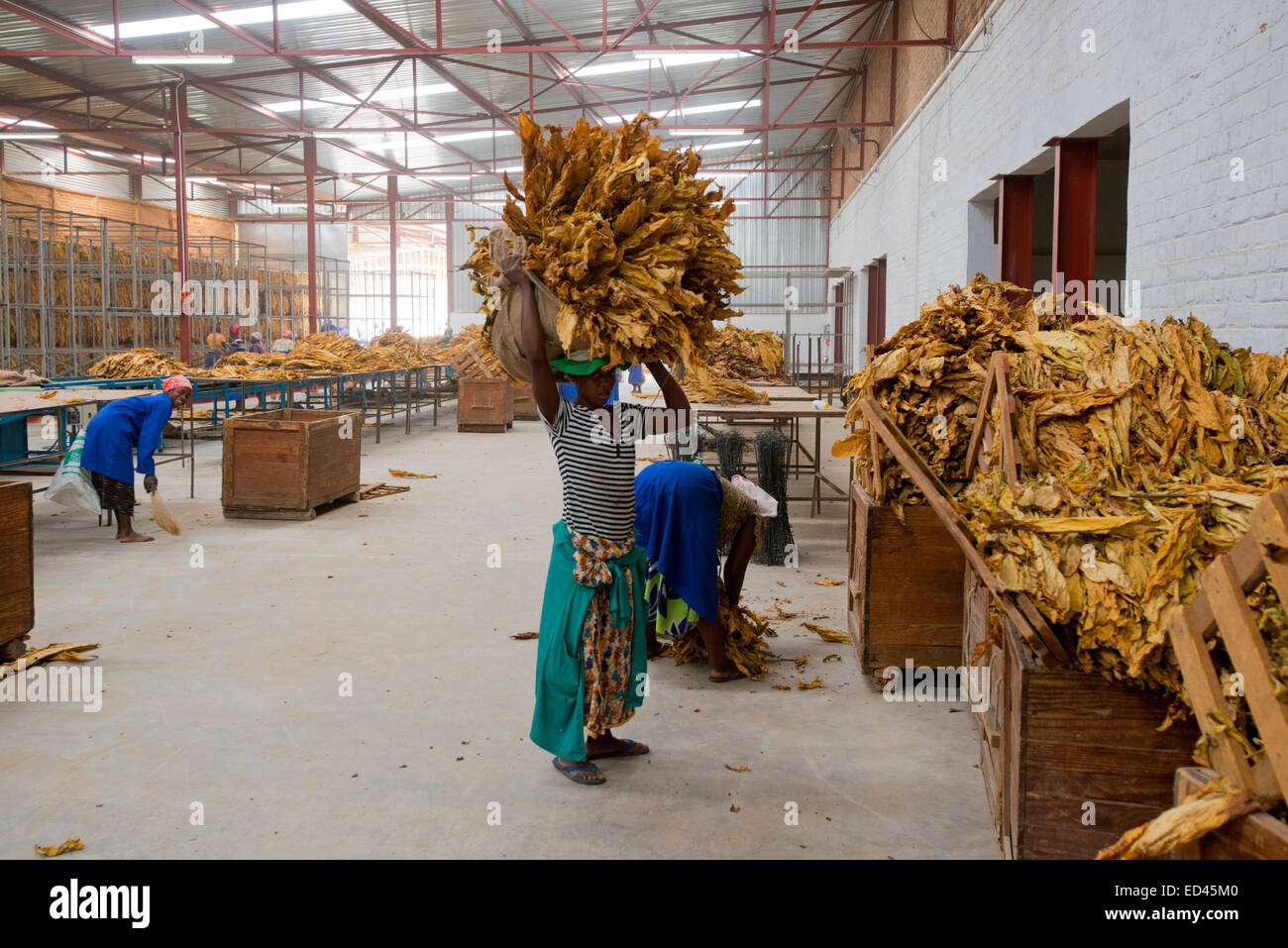 Africa farmers food processing hi-res stock photography and images - Alamy