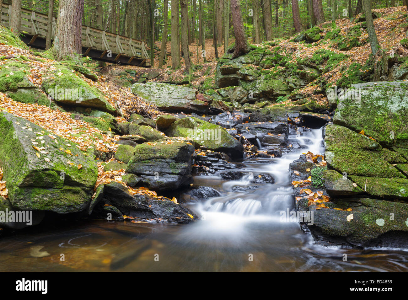 Wilde Brook in Chesterfield Gorge Natural Area of Chesterfield, New ...