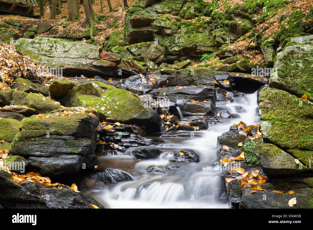 Chesterfield gorge natural area hi-res stock photography and images - Alamy
