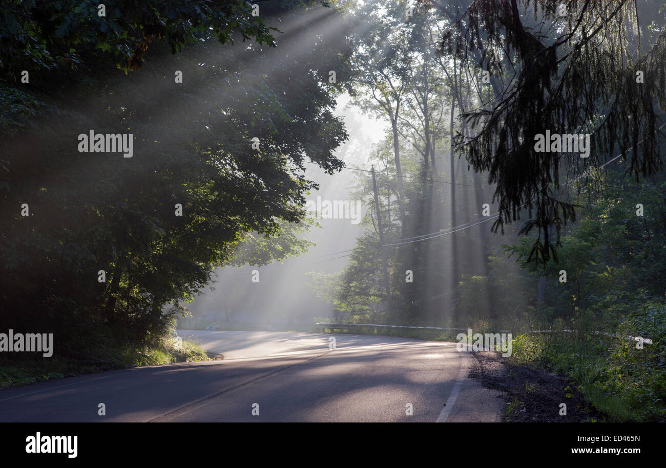 Through trees valley hi-res stock photography and images - Alamy