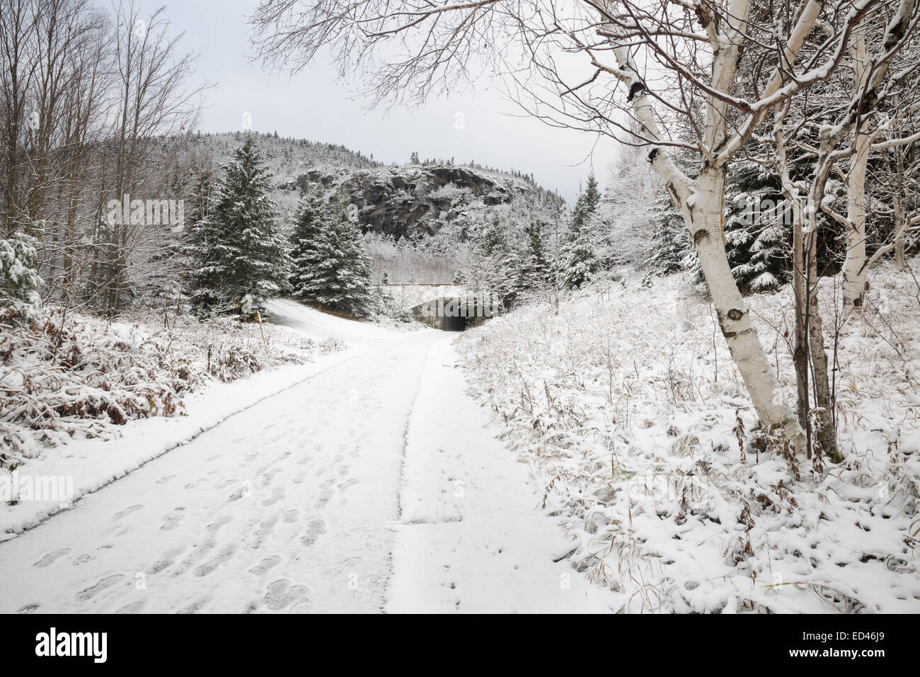 Franconia Notch State Park - Scenic view along the Franconia Notch Bike ...