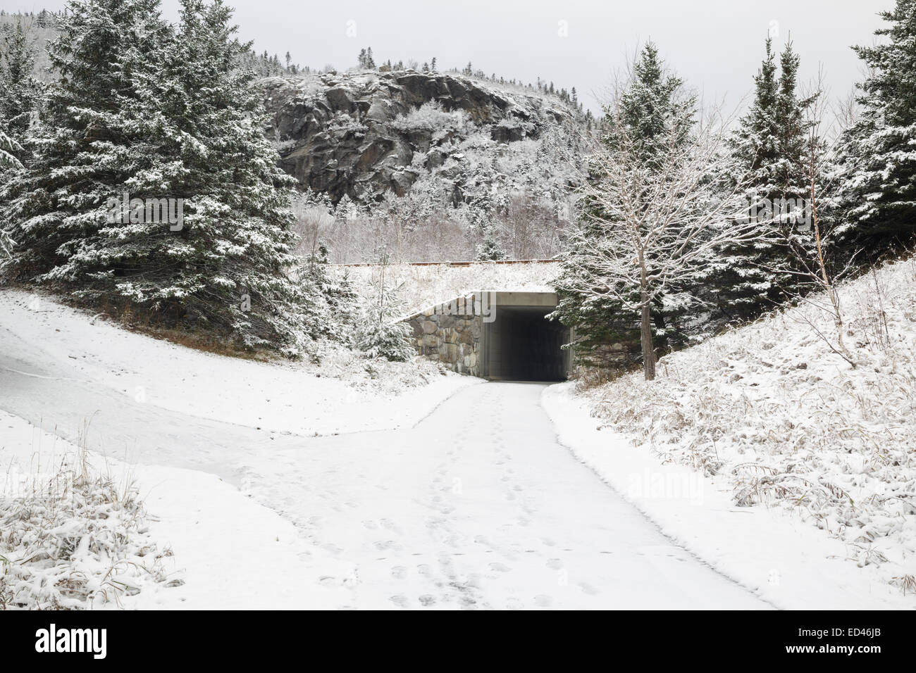 Franconia Notch State Park - Scenic view along the Franconia Notch Bike ...