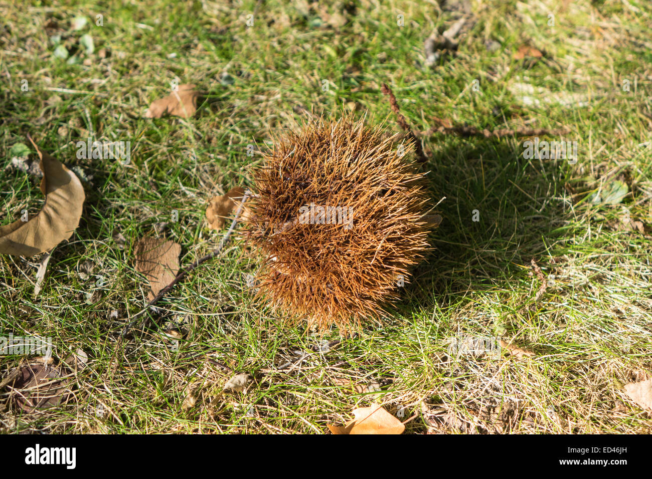 Outer covering hi-res stock photography and images - Alamy