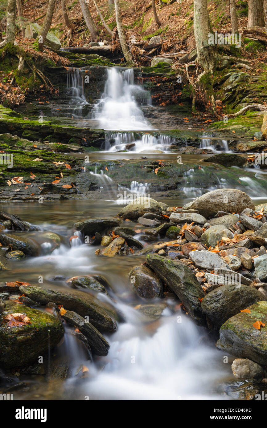 Tributary of the Wild Ammonoosuc River on the side of Mt. Blue in ...