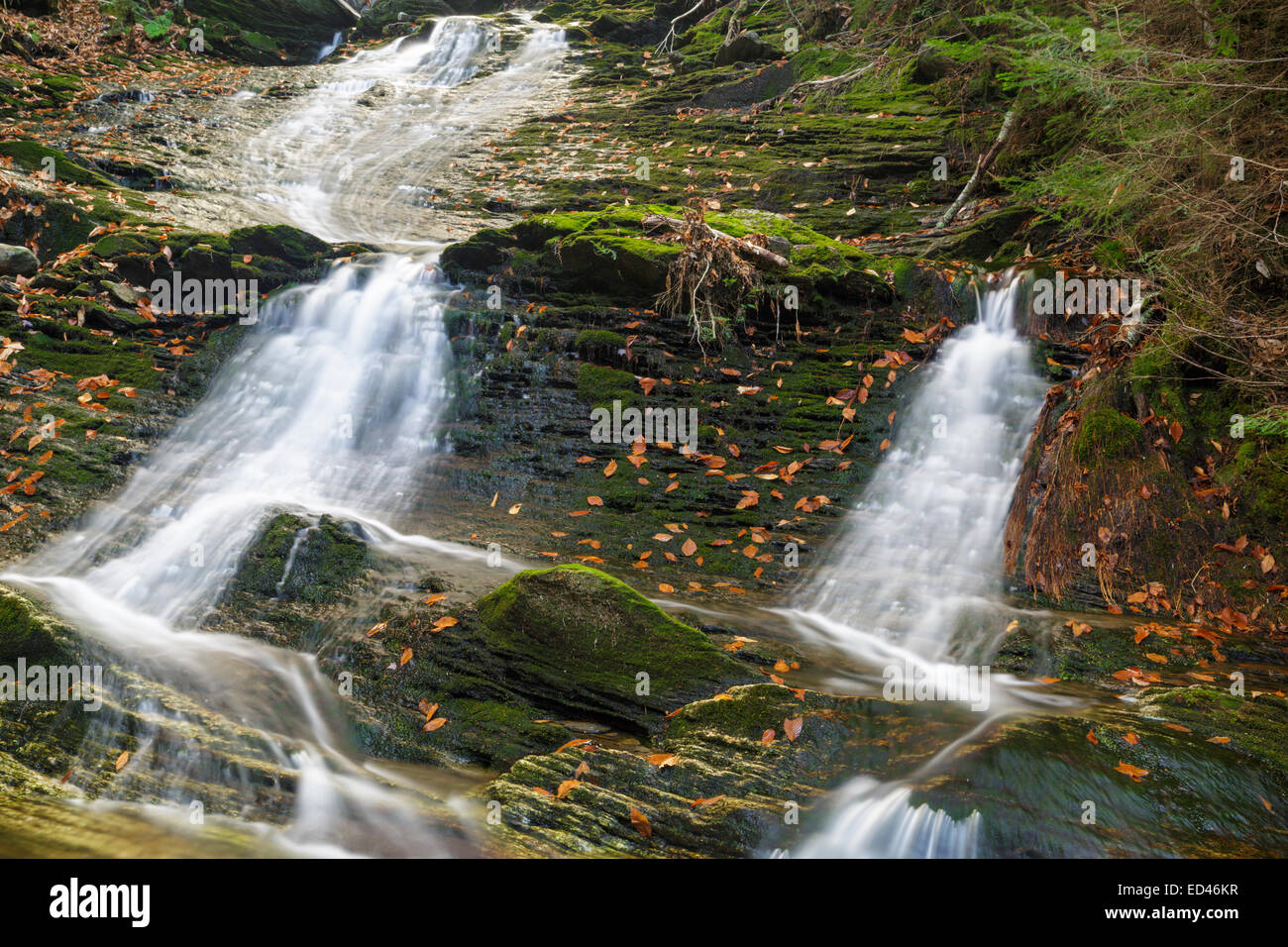 Tributary of the Wild Ammonoosuc River on the side of Mt. Blue in ...