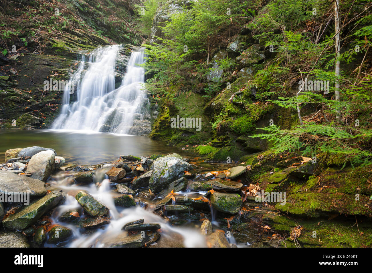 Tributary of the Wild Ammonoosuc River on the side of Mt. Blue in ...