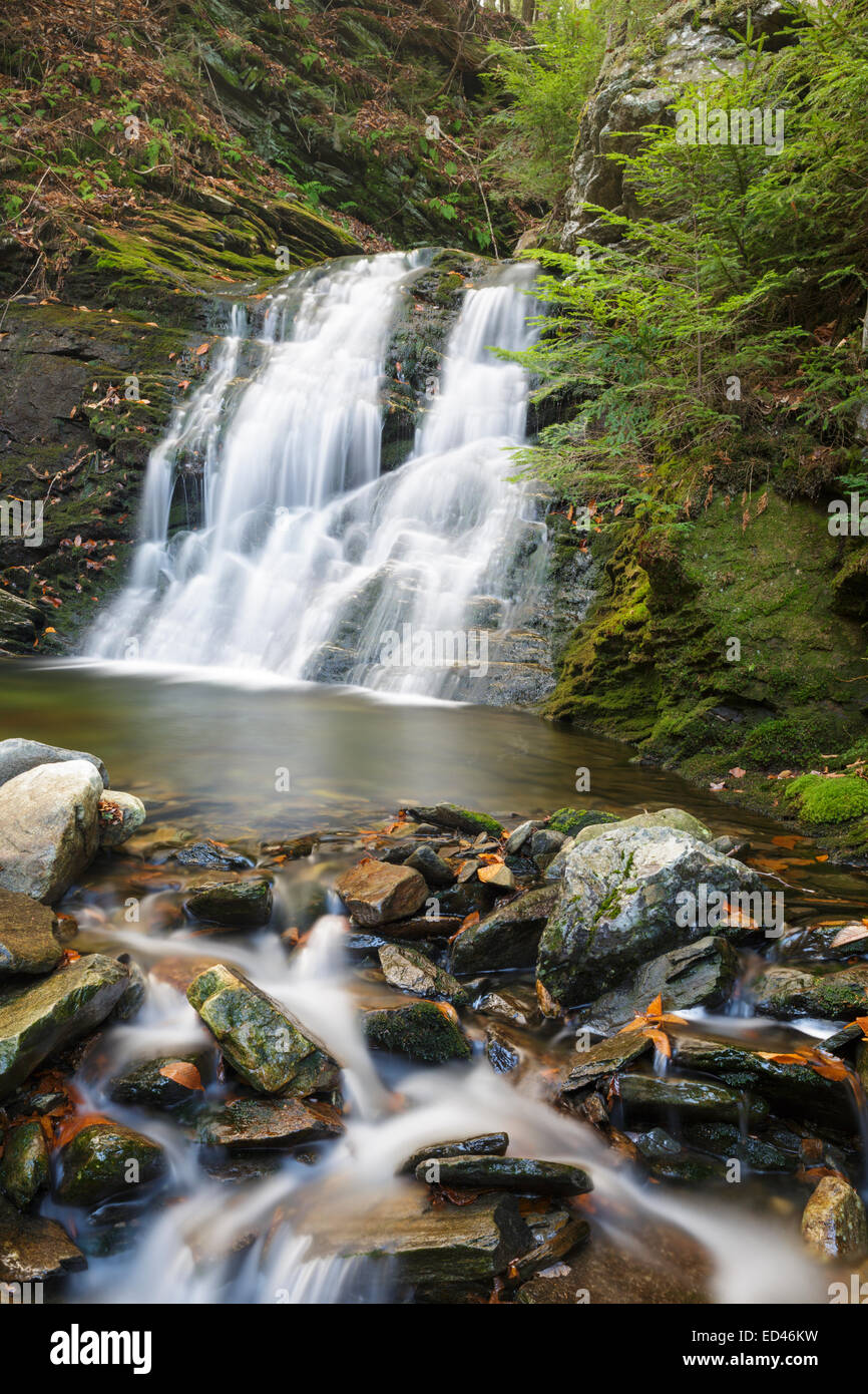 Tributary of the Wild Ammonoosuc River on the side of Mt. Blue in ...