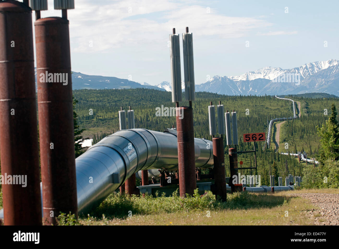 Trans Alaskan pipe line off of the Richardson Highway Stock Photo - Alamy