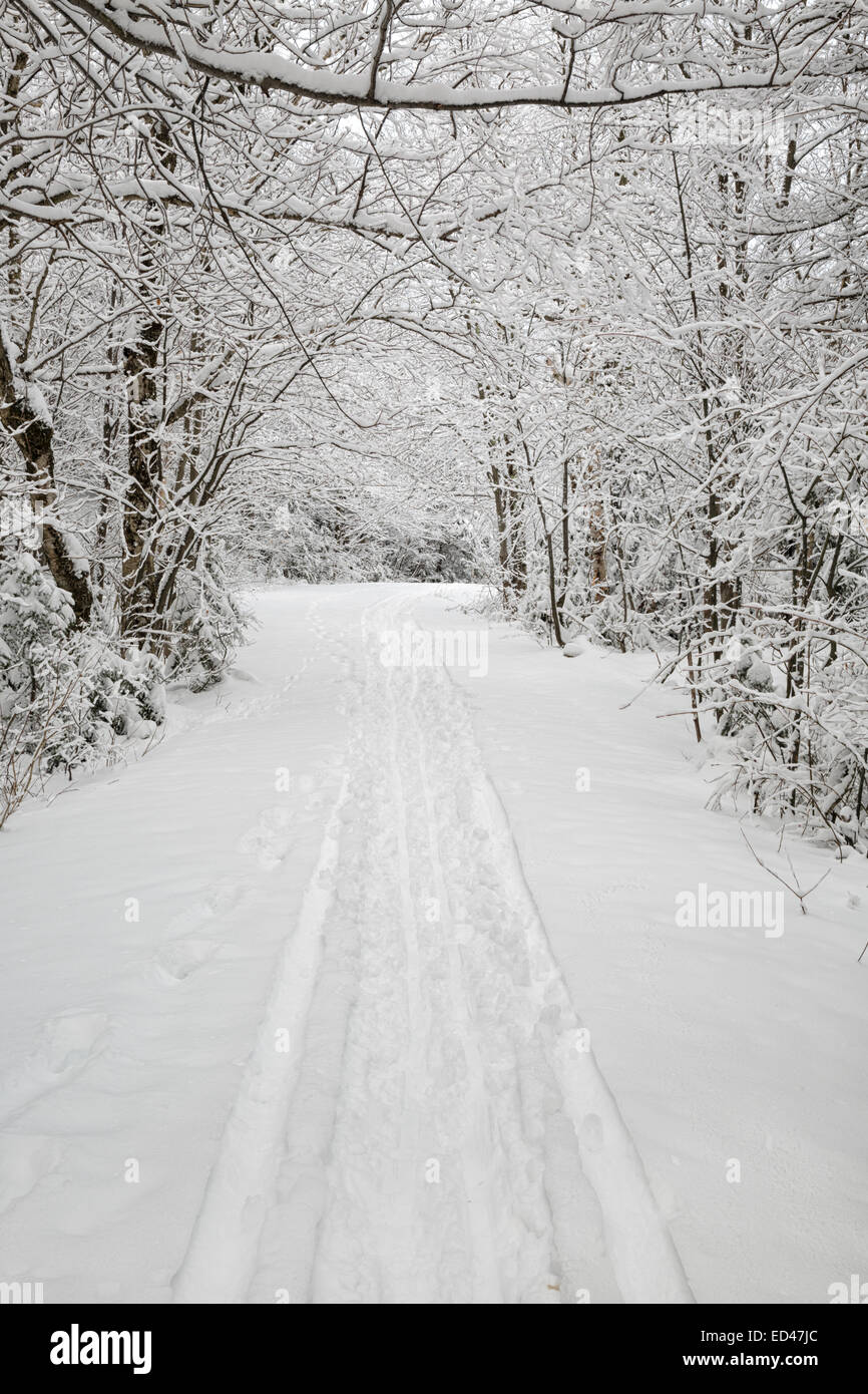 Franconia Notch State Park - Scenic view along the Franconia Notch Bike ...