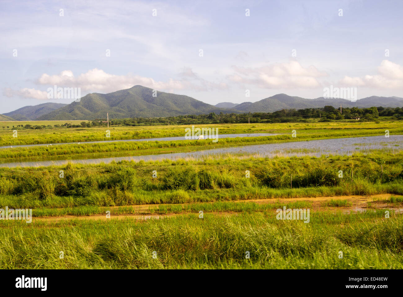 Cuban farmland hi-res stock photography and images - Alamy