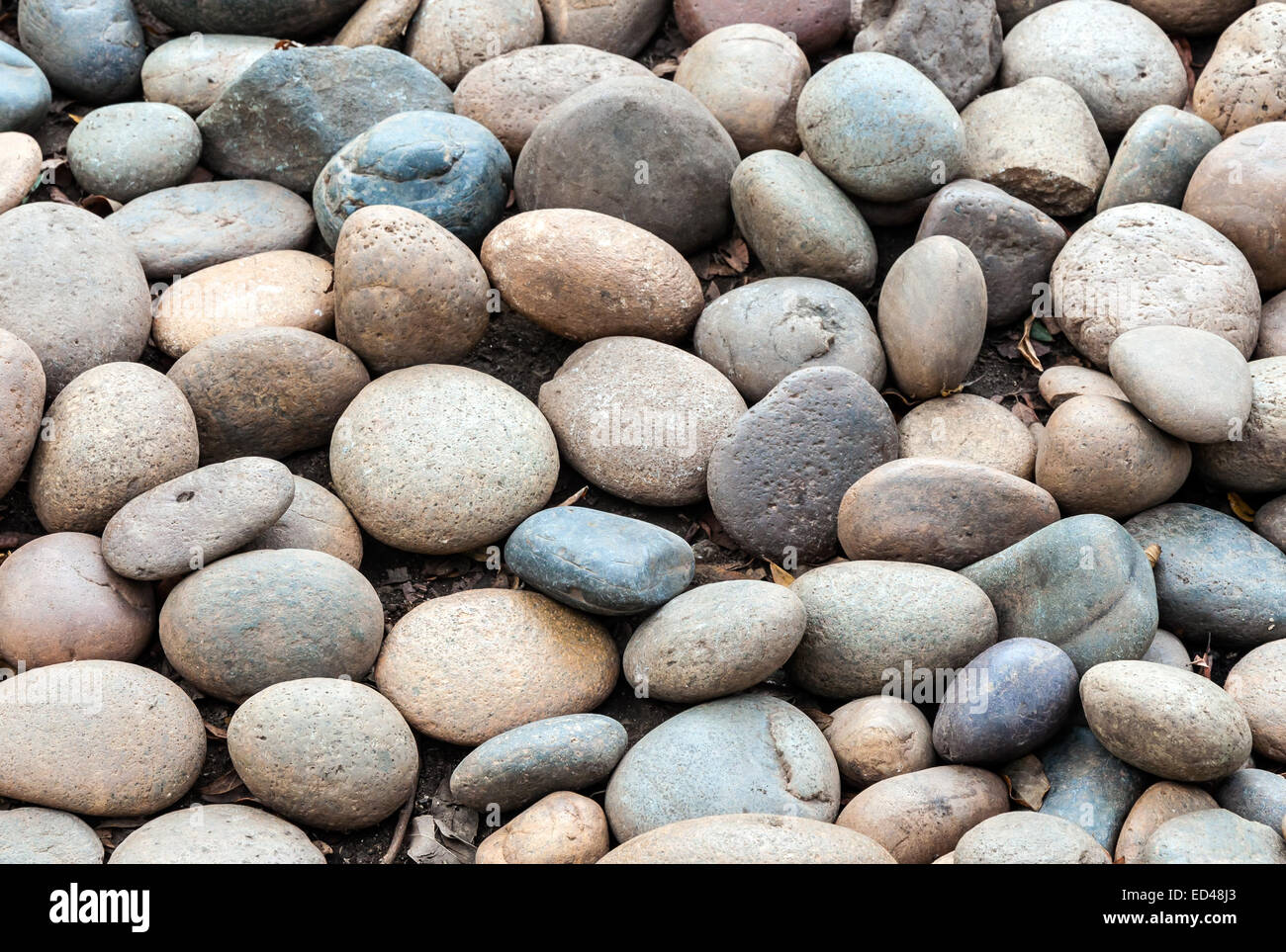 Colorful pebble on the ground of home garden Stock Photo - Alamy