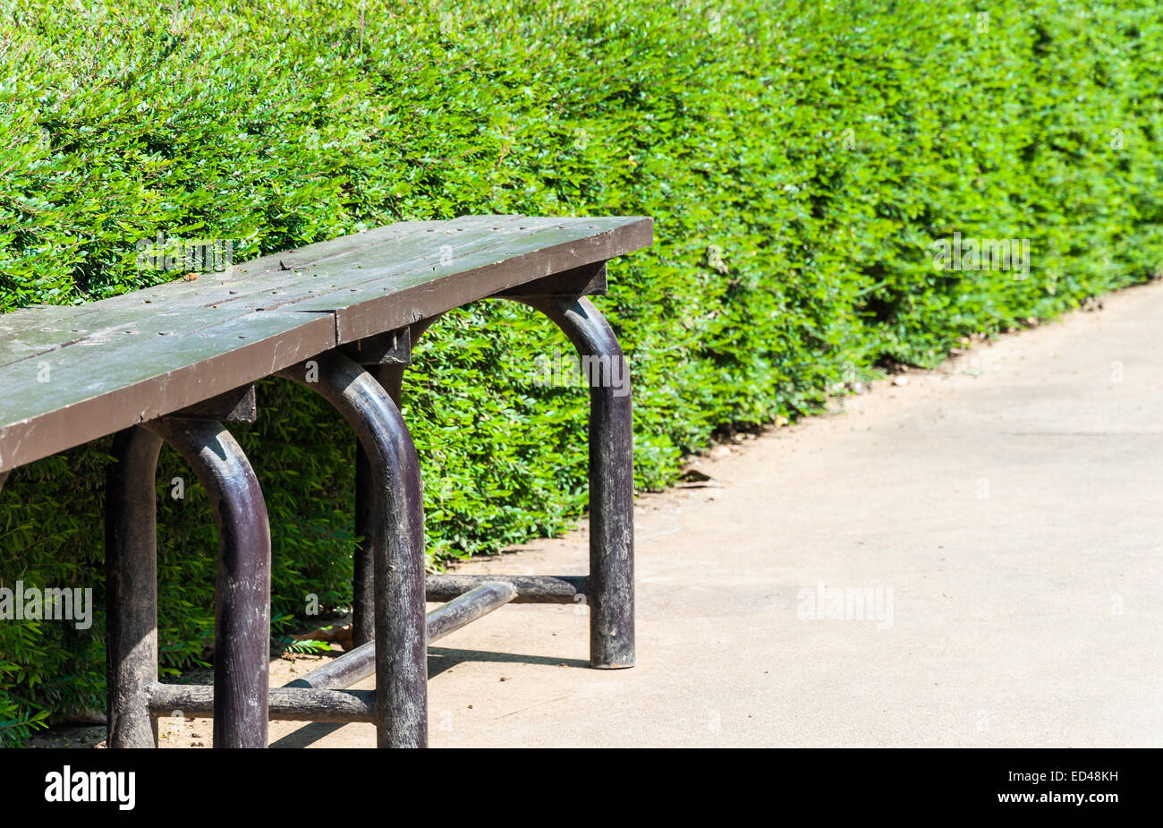 Lonely bench near the shrubbery in urban park Stock Photo - Alamy