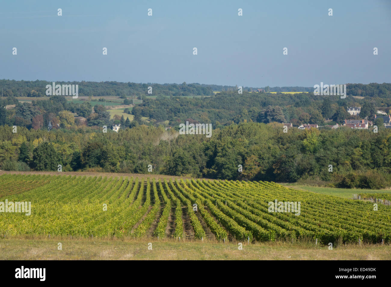 Distant hills rows vines hi-res stock photography and images - Alamy