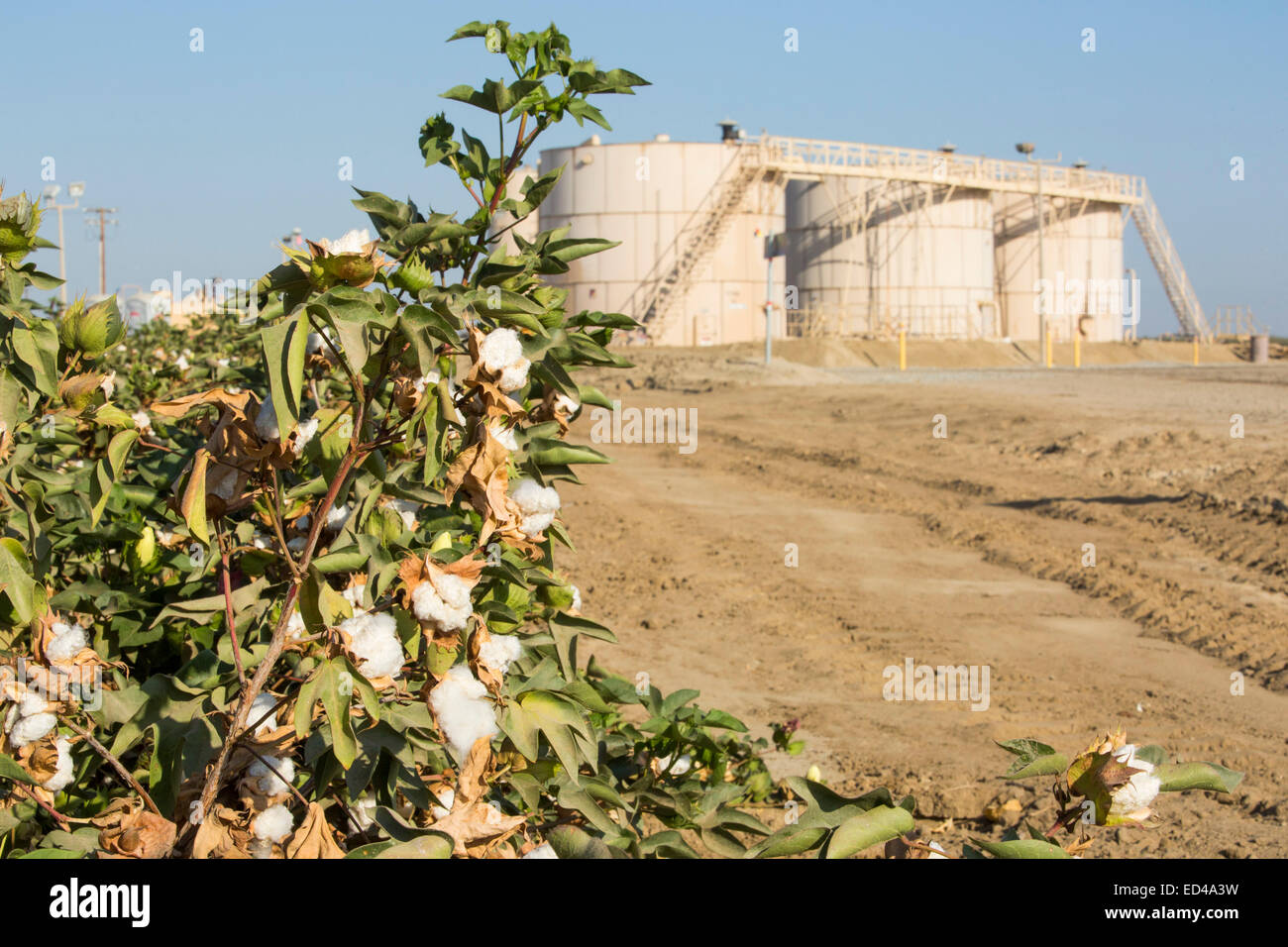 A fracking site near Bakersfield, California, USA Stock Photo - Alamy