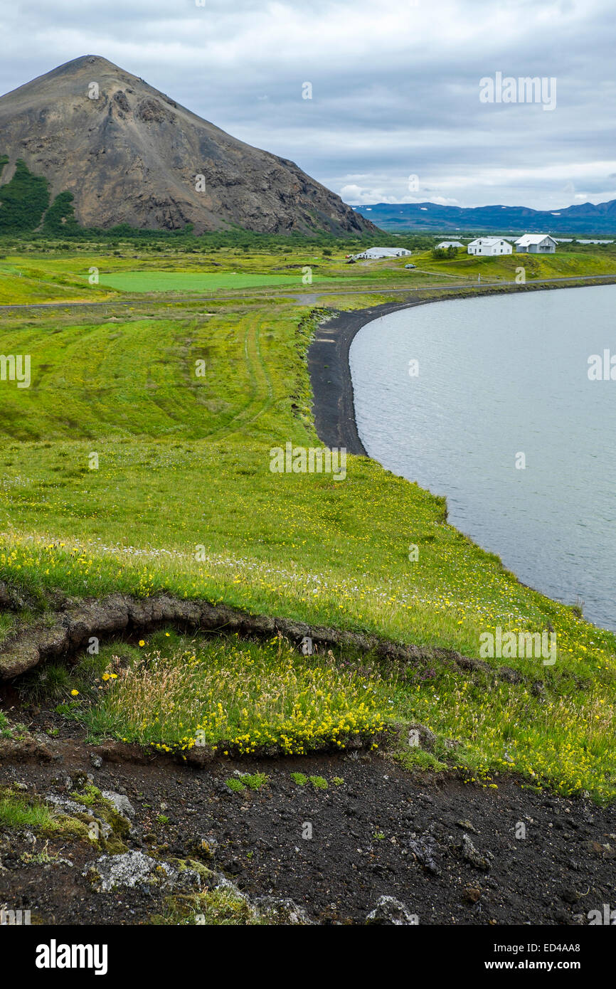 Lake myvatn bird hi-res stock photography and images - Alamy